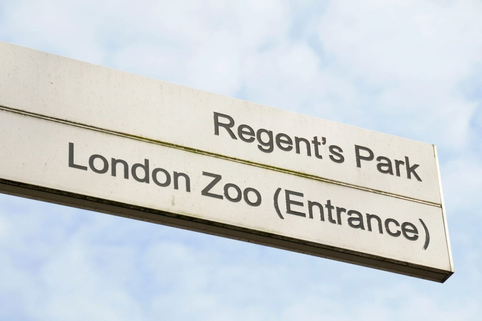 London Zoo: essential access information | LimoLane